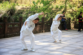 Da Wu – Qi Gong Centre